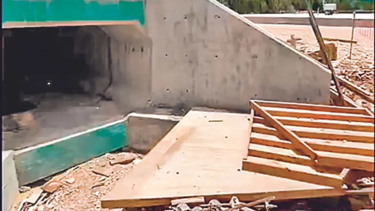 “Drenajes”, pasos de fauna de Tren Maya: Expertos – Al Contacto