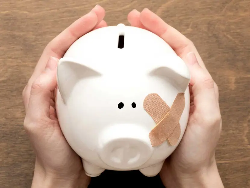 Ahorro ínfimo para el sector público – Al Contacto