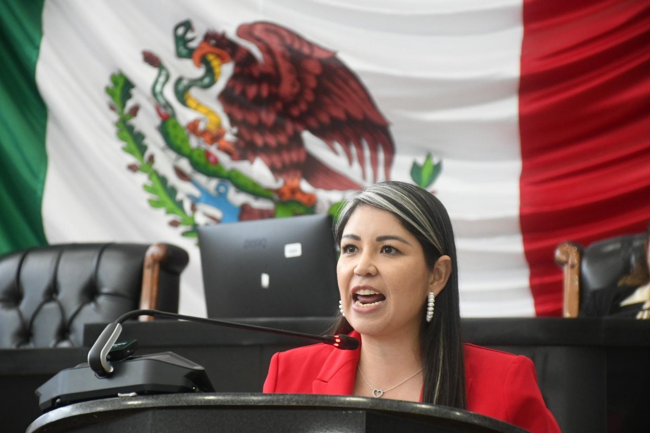 Cueste lo que cueste defenderemos a México de una dictadura: Nancy ...