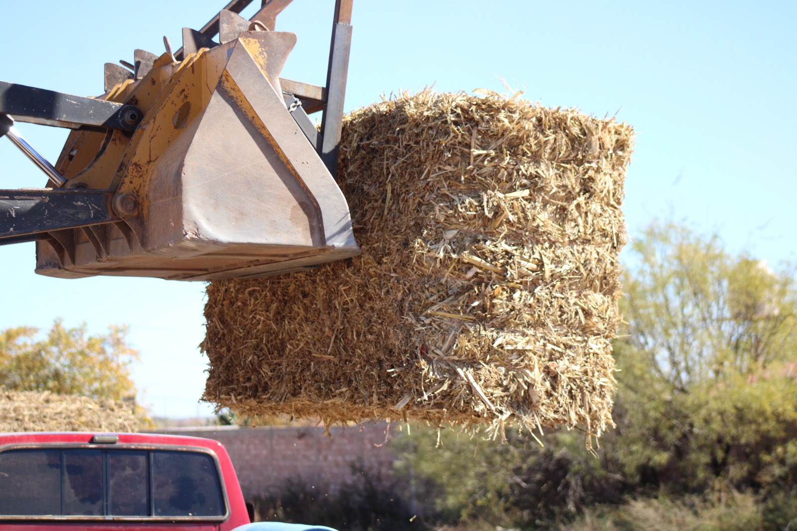 Beneficiará Gobierno del Estado a cerca de 8 mil productores con pacas ...