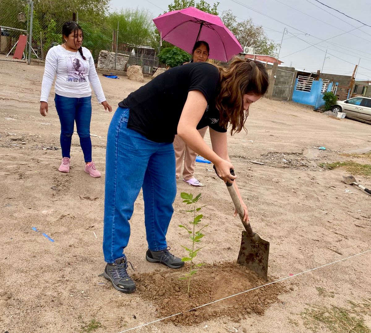 Impulsa Jael Argüelles jornada de reforestación en Rancho Anapra. – Al ...