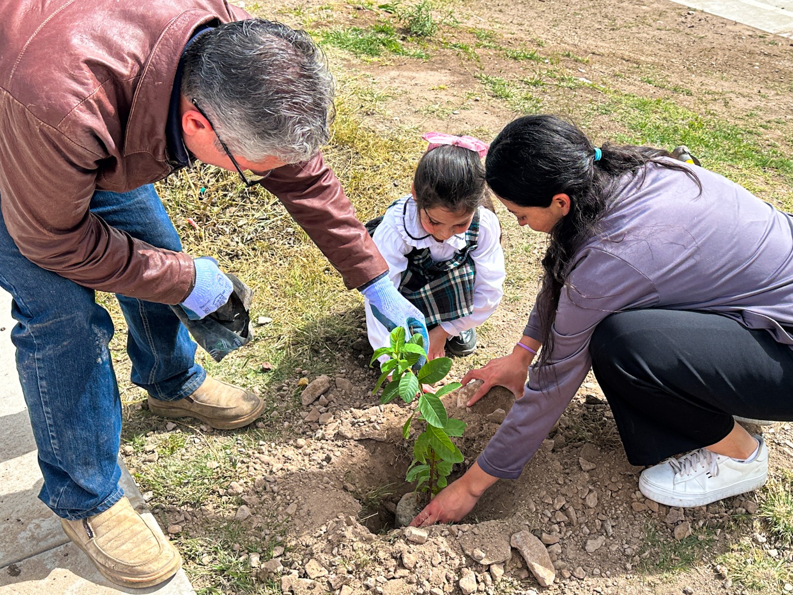 Reforesta Municipio en tres zonas de la ciudad para cuidar el medio ...